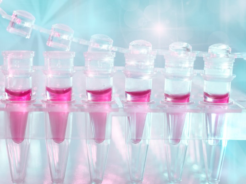 PCR MasterMixes / Q-bios Biotechnology